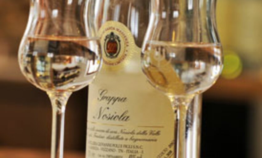 Typical products of Valle dei Laghi • Lake Garda