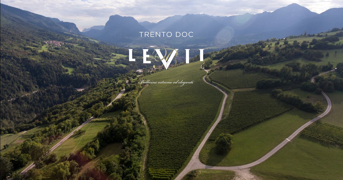 CANTINE LEVII - Bollicine estreme ed eleganti